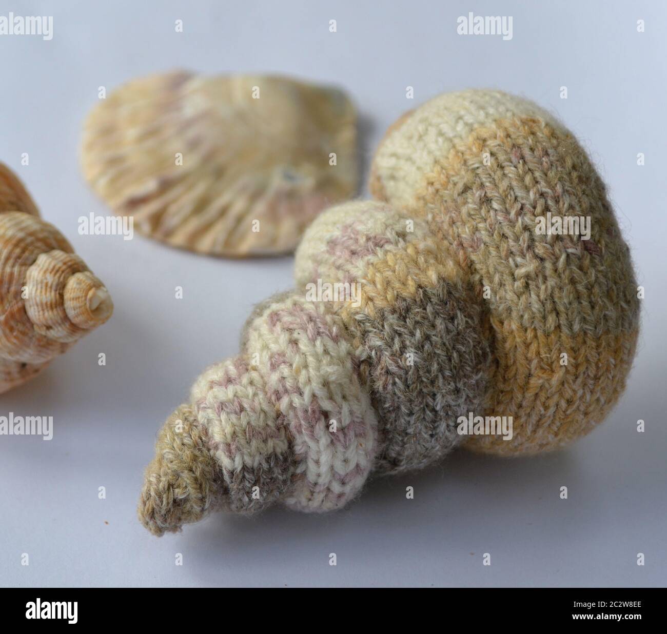 Spiral shell hi-res stock photography and images - Alamy