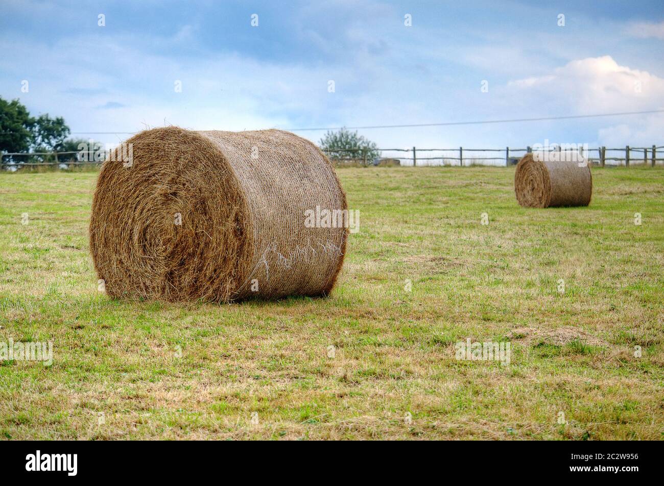 Hay stacks on a field with a blue sky Stock Photo - Alamy