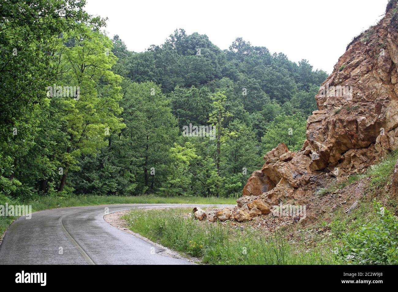Curved Road in Rural Green Woods Mountain Stock Photo - Alamy