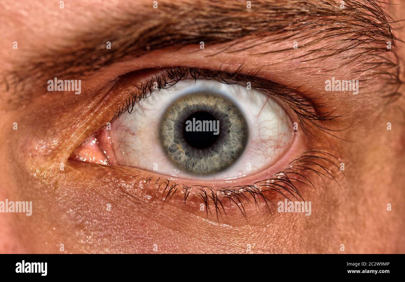 Shot of scared man eye. Extra close-up view Stock Photo - Alamy
