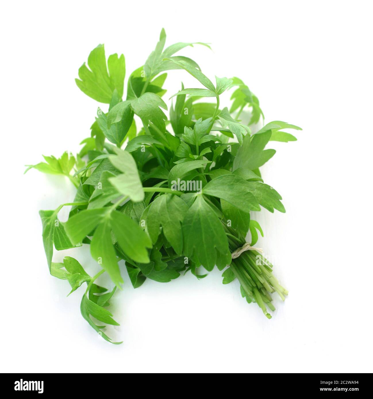 Plant lovage Cut Out Stock Images & Pictures - Alamy