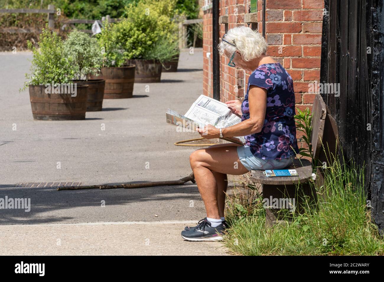 Woman female walker sitting on a bench reading a map with a guide book ...