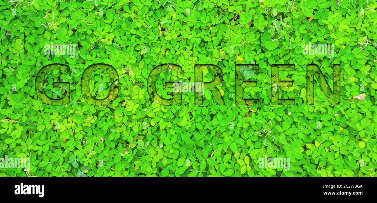 Ecology Concept Typographic Design Stock Photo - Alamy