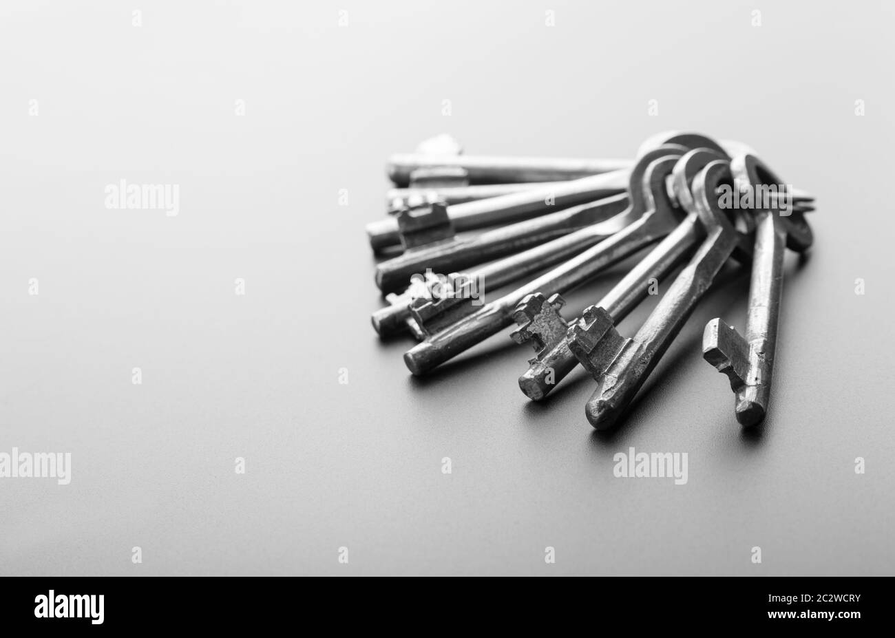 Victorian studio background Black and White Stock Photos & Images - Alamy