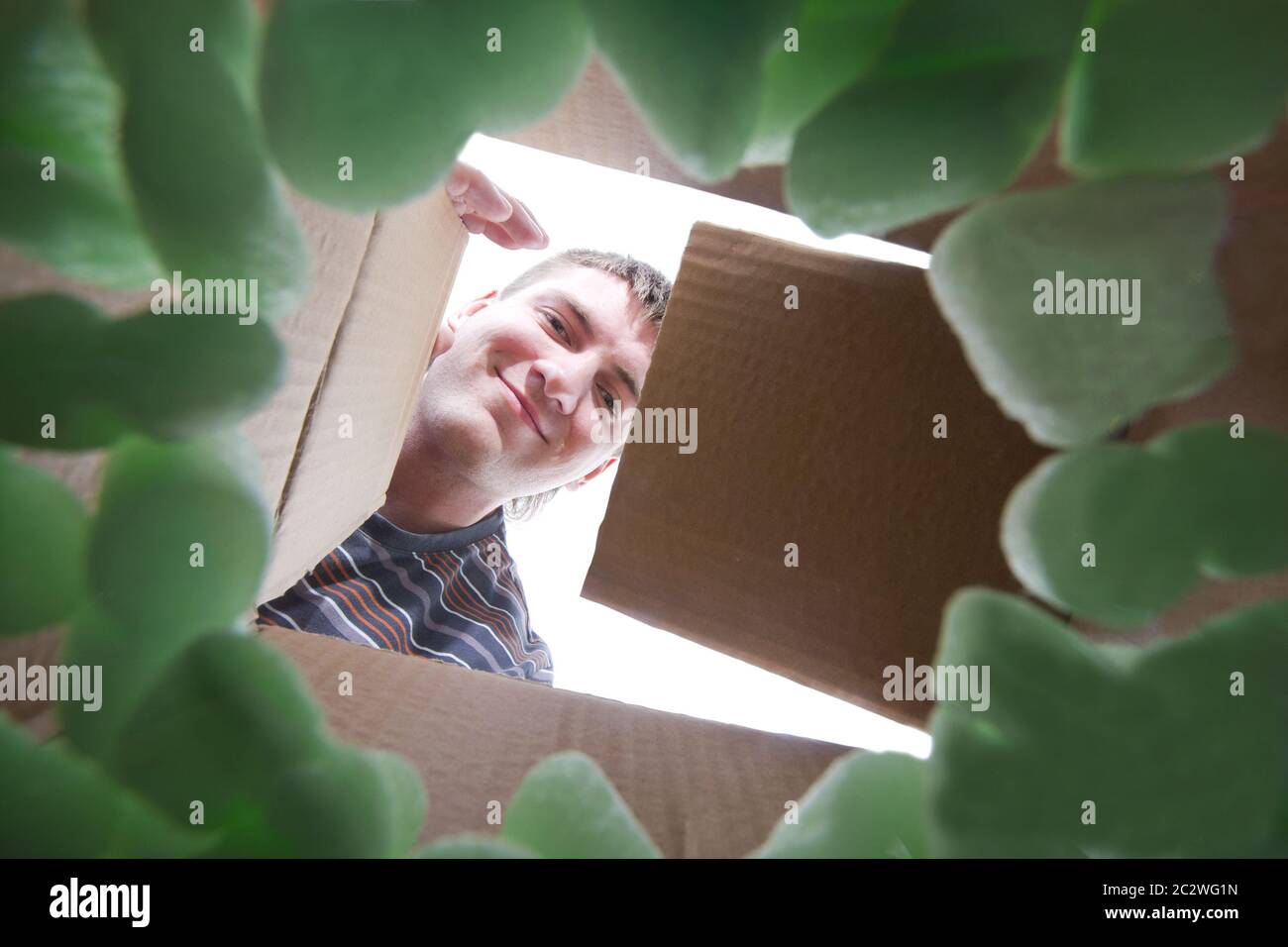 Male hand opening cardboard box hi-res stock photography and images - Alamy