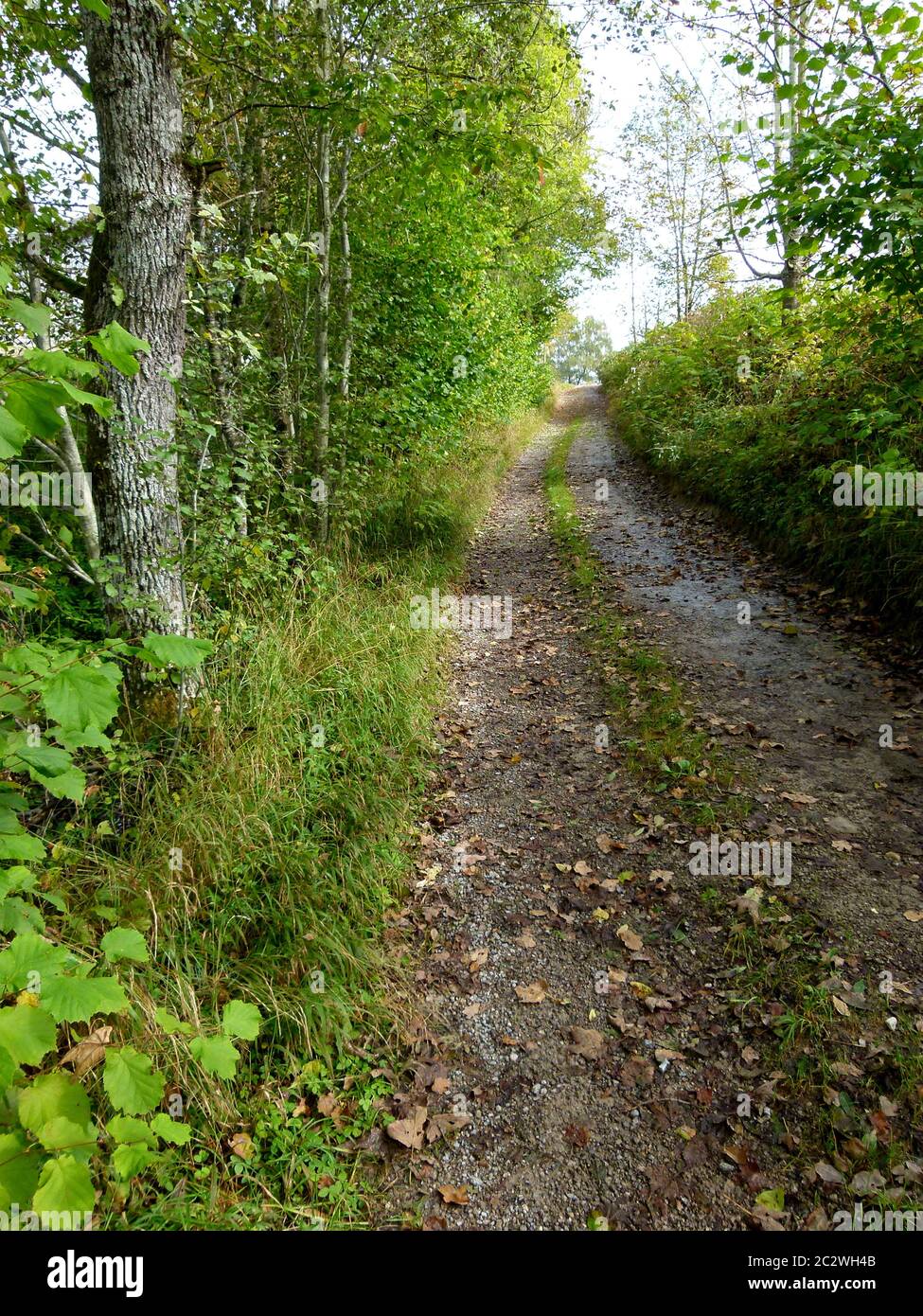 Slightly ascending trail hi-res stock photography and images - Alamy