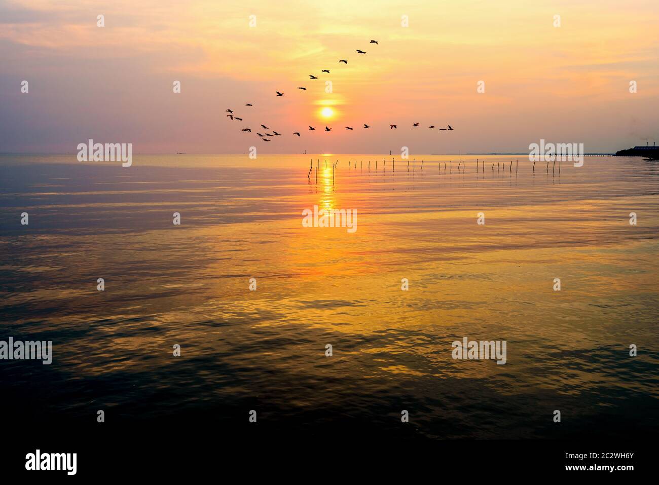 Flying in a line hi-res stock photography and images - Alamy