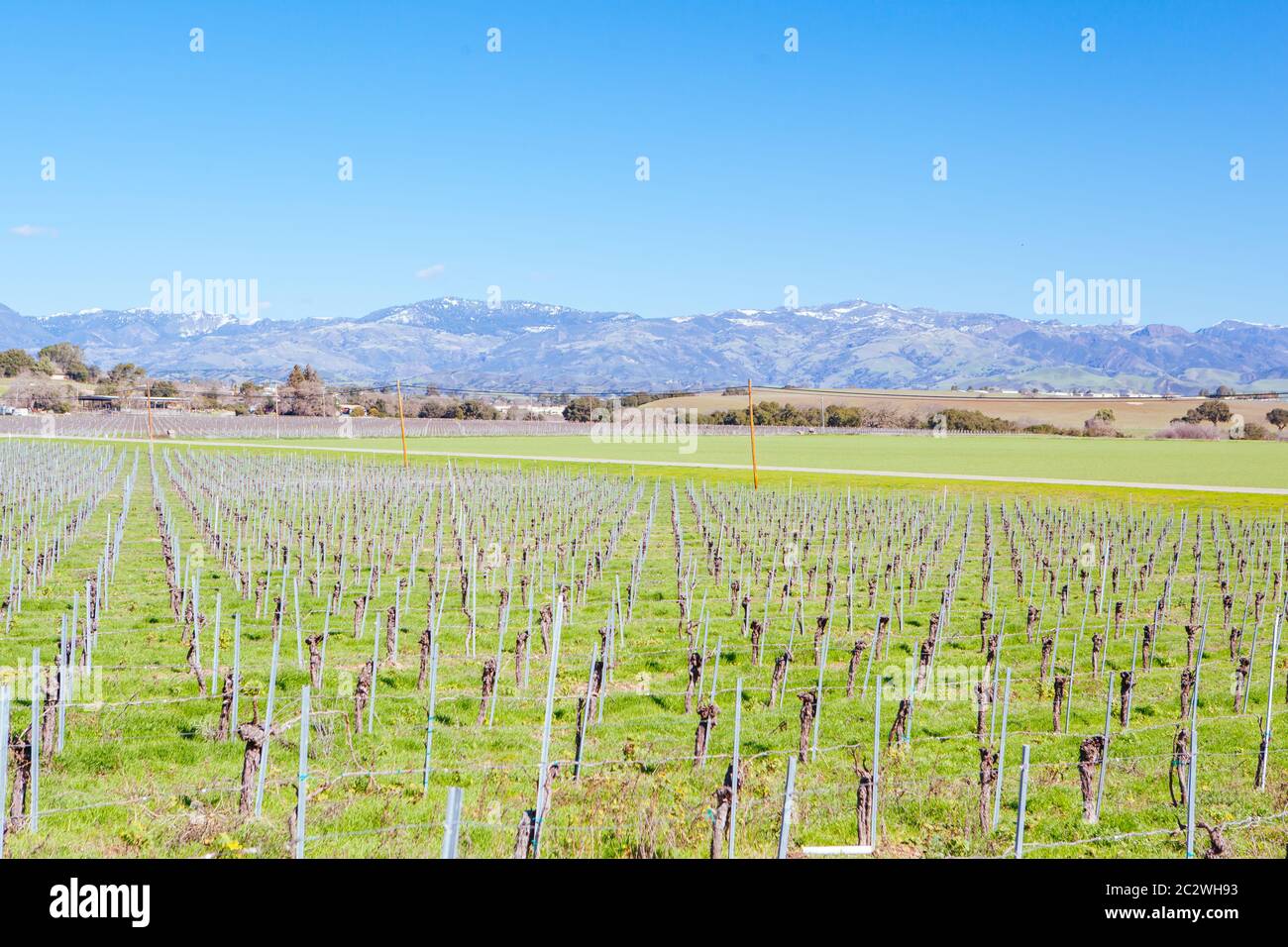 Santa ynez valley california hi-res stock photography and images - Alamy