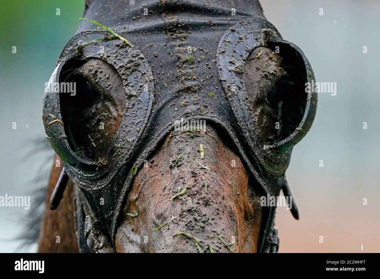 Muddy horse racing hi-res stock photography and images - Alamy