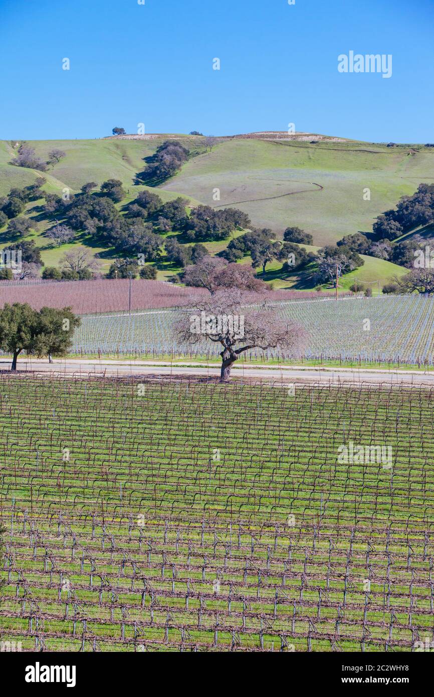 Santa ynez valley hi-res stock photography and images - Alamy