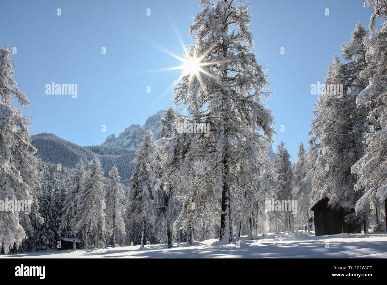 Winter colors hi-res stock photography and images - Alamy