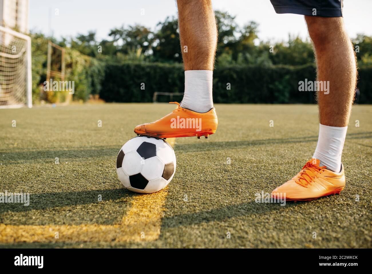 Male soccer player legs with ball standing on line on the field ...