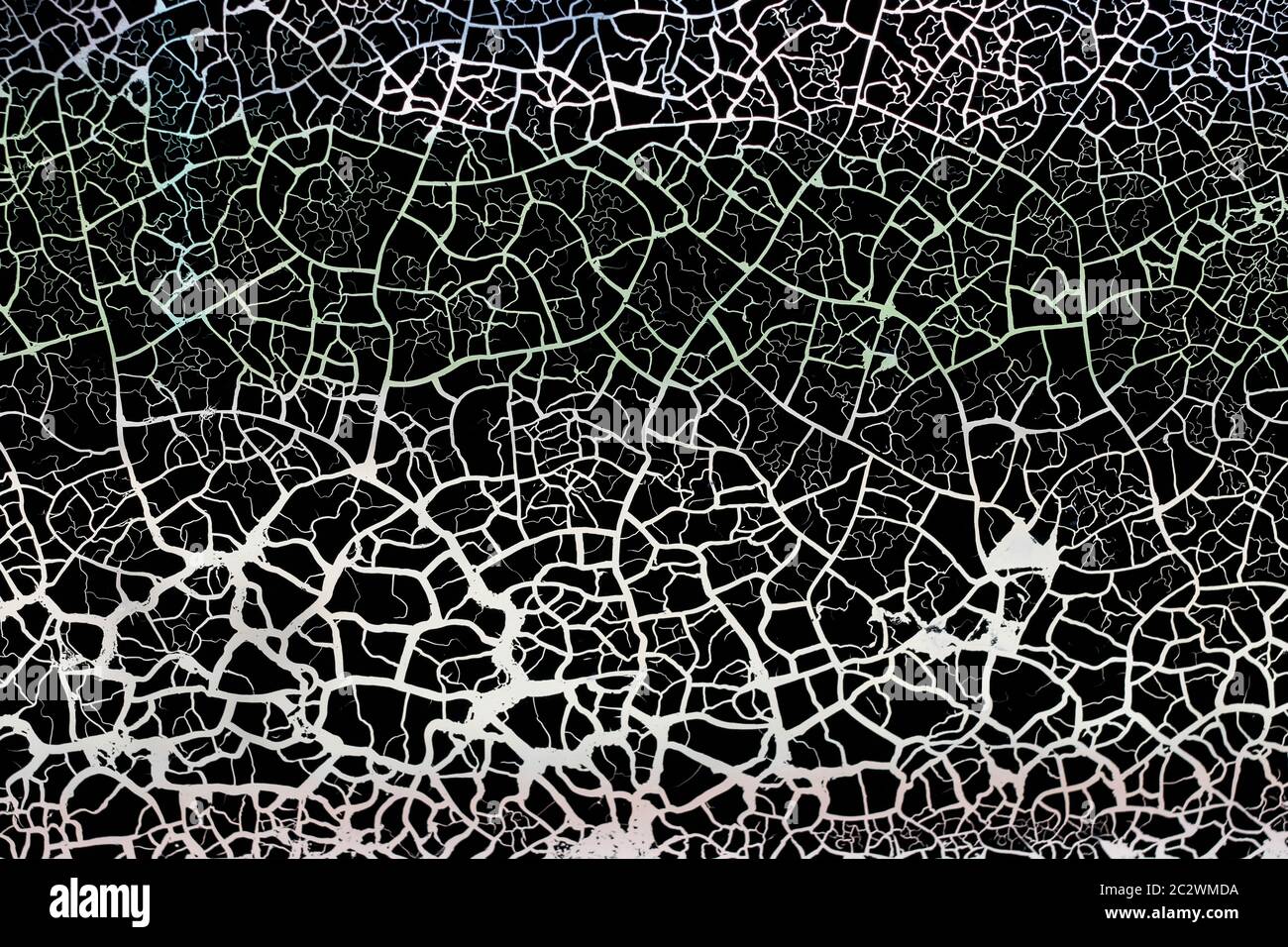 Abstract background of white tangled lines on a black surface. Graphic ...