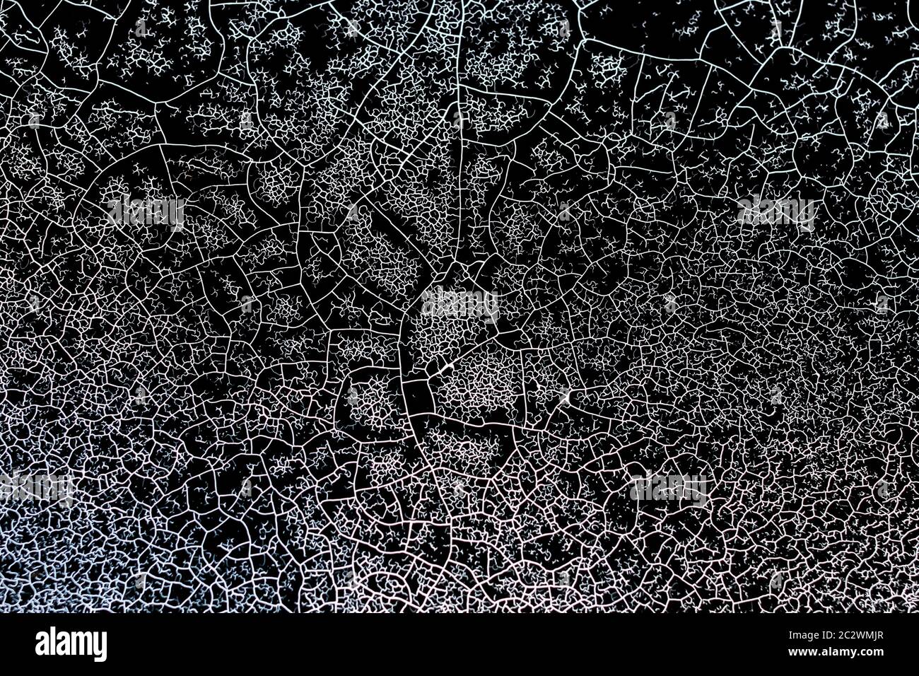 Abstract background of white tangled lines on a black surface. Graphic ...