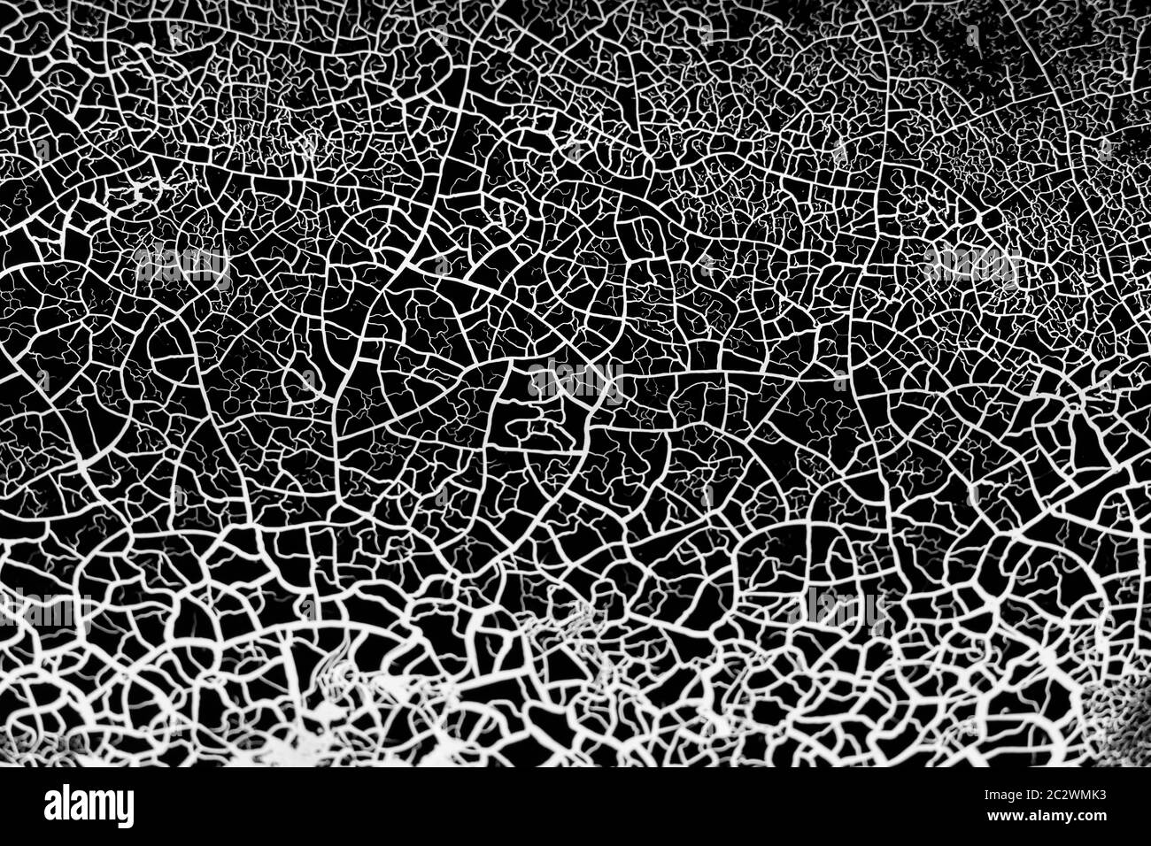 Abstract background of white tangled lines on a black surface. Graphic ...