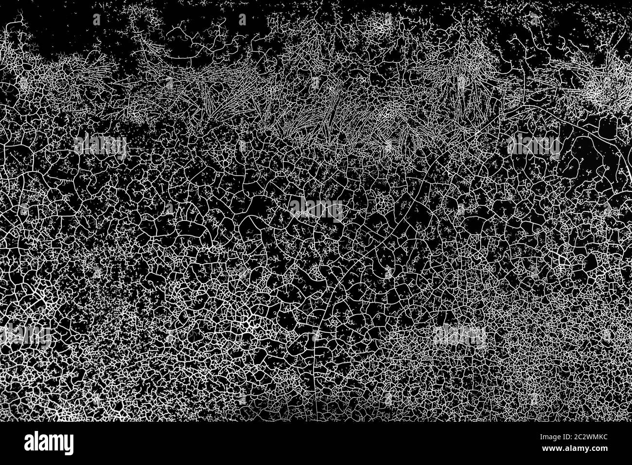 Abstract background of white tangled lines on a black surface. Graphic ...