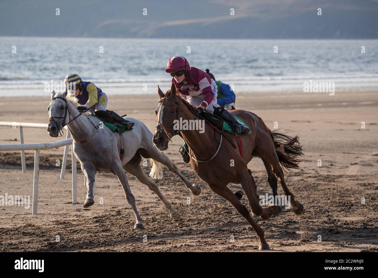 Rossbeigh Beach, Ireland - 25th August 2019: Horse racing on Rossbeigh ...