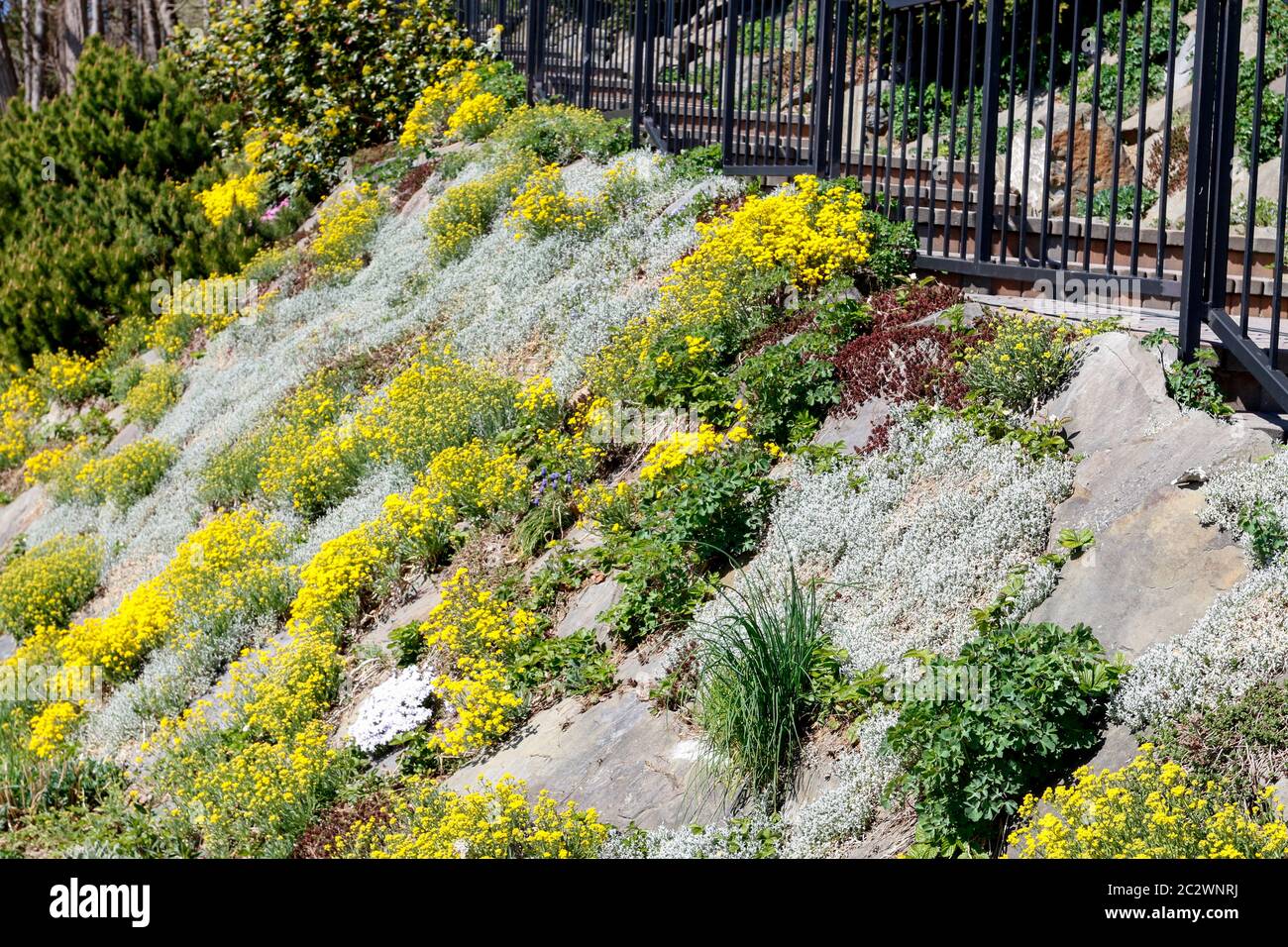 Beautiful rockery garden with viewing platform. Relax place Stock Photo ...