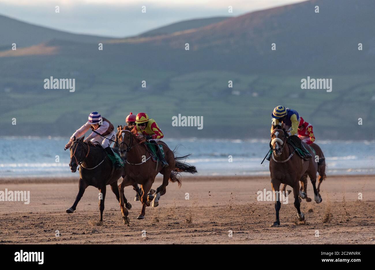 Rossbeigh Beach, Ireland - 25th August 2019: Horse racing on Rossbeigh ...