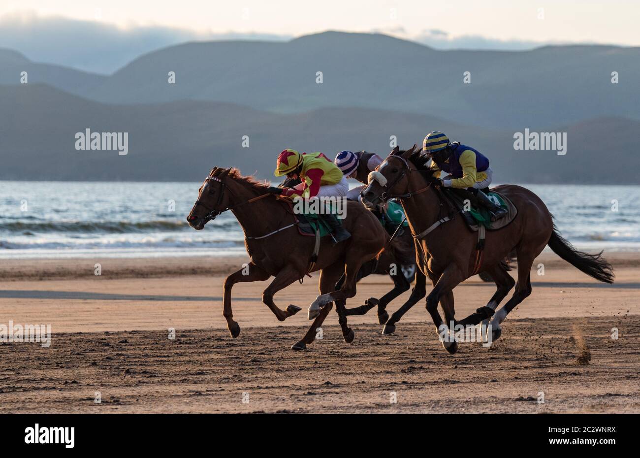 Rossbeigh Beach, Ireland - 25th August 2019: Horse racing on Rossbeigh ...