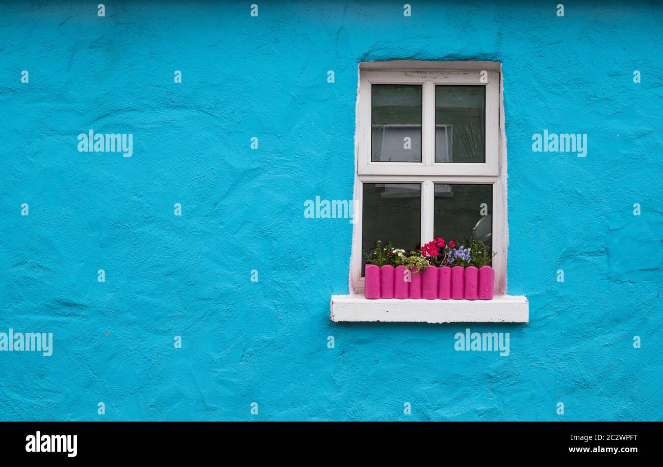 Irish cottage background, window with flower box and blue wall Stock ...