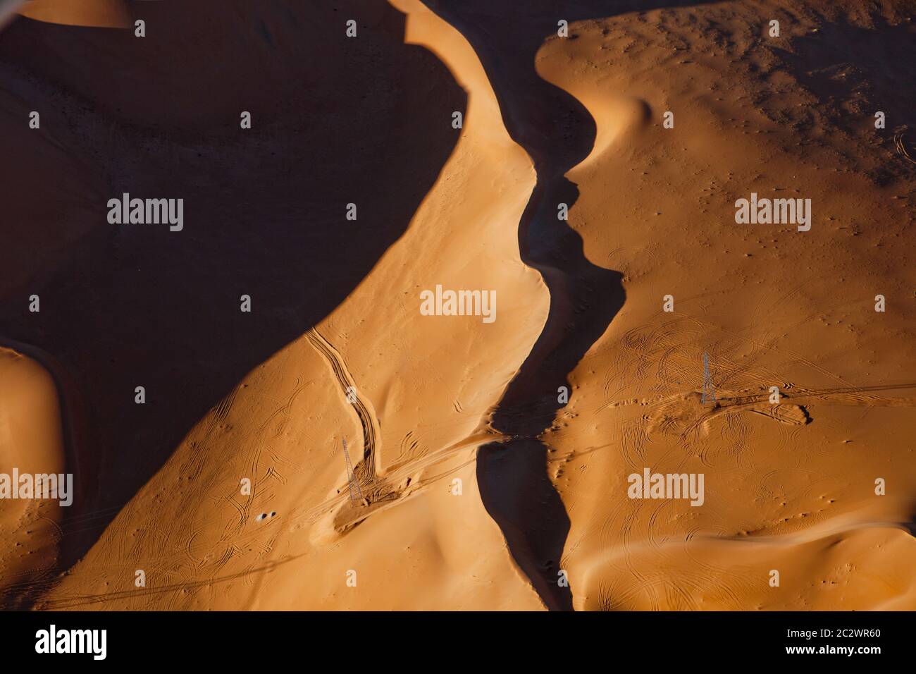 Electricity plyons being built in the Sahara desert by an oil company ...