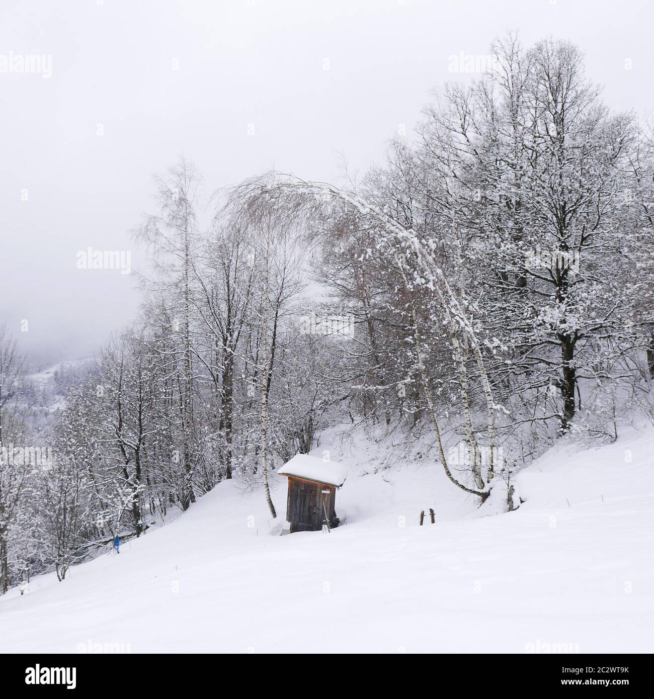 holiday at the foot of Mont Blanc in winter in the Chamonix Valley ...
