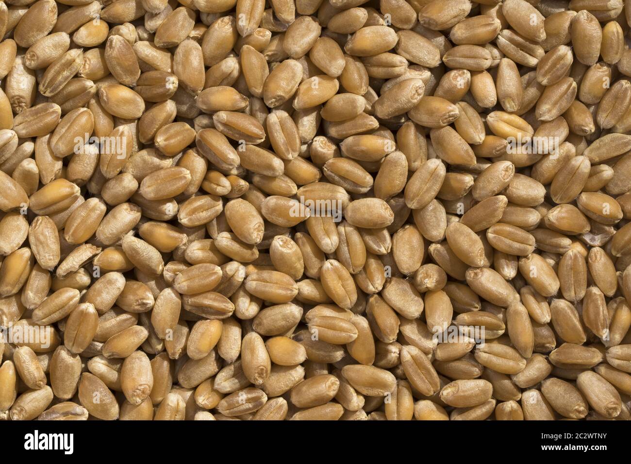 Wheat pattern hi-res stock photography and images - Alamy