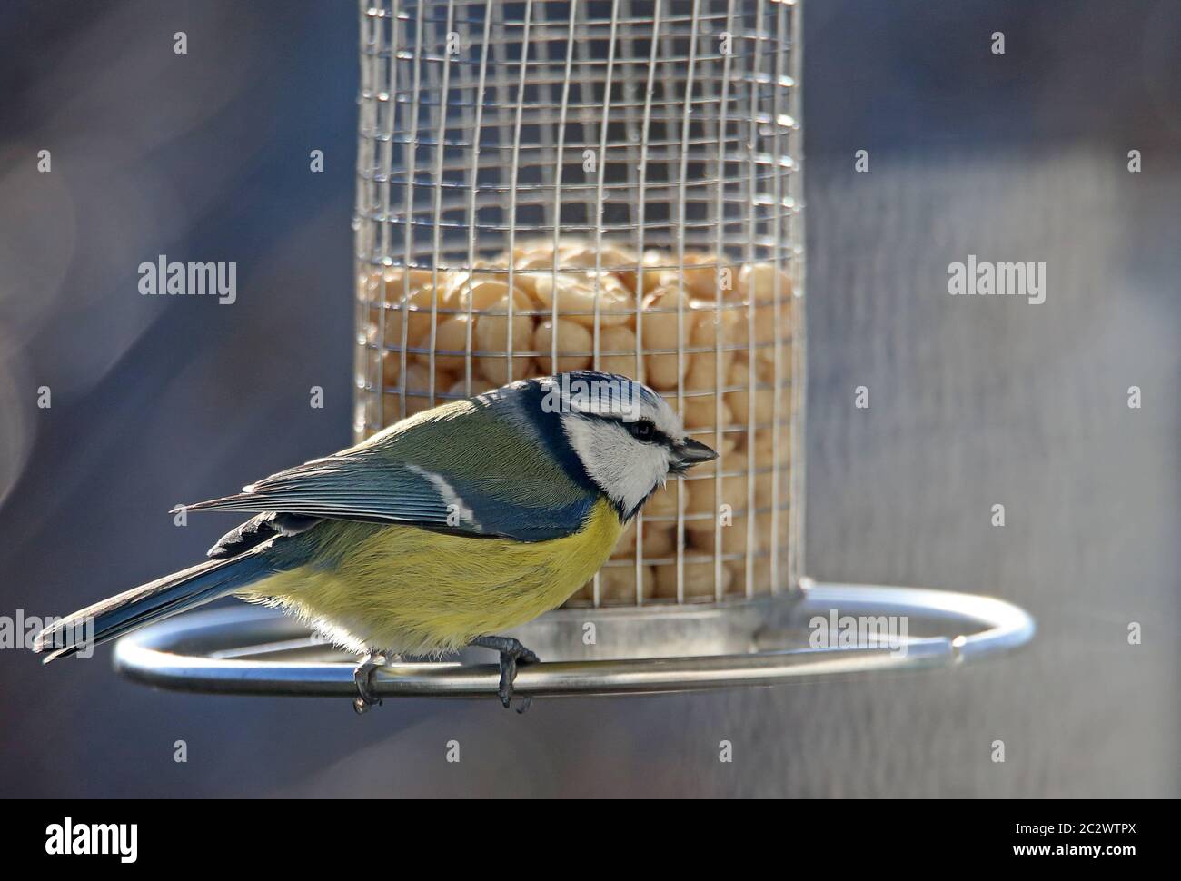 Peanut donor hi-res stock photography and images - Alamy