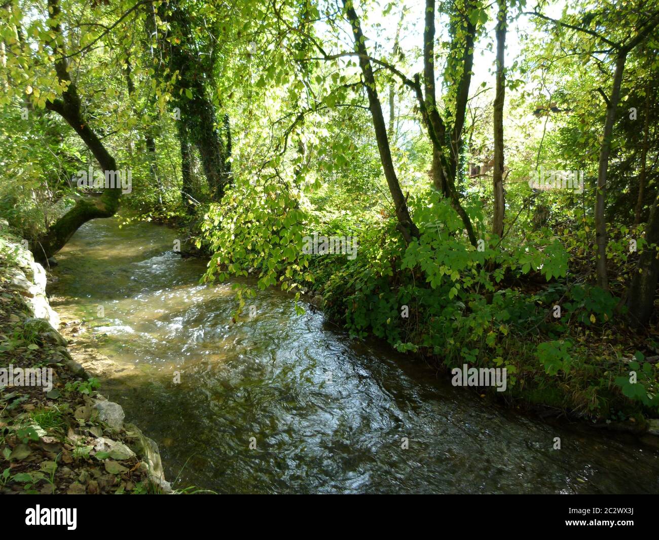 Idyllic stream with trees on the shore in beautiful light 3 Stock Photo ...