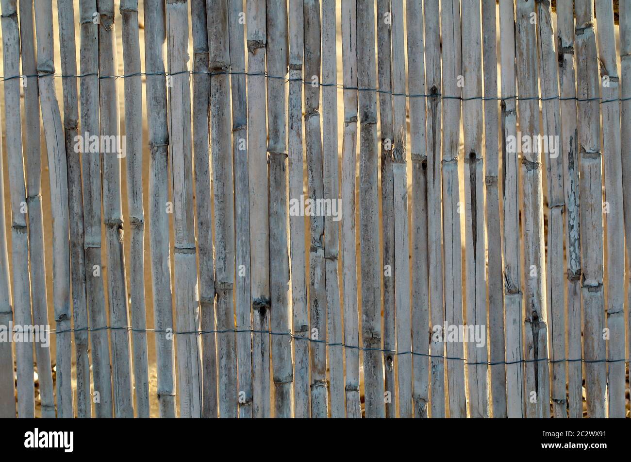 Detail of a privacy screen made of pipe, straw or bamboo, texture Stock ...