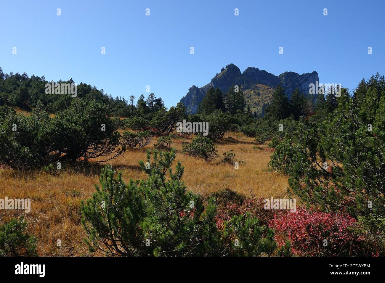 High moorland landscape hi-res stock photography and images - Alamy