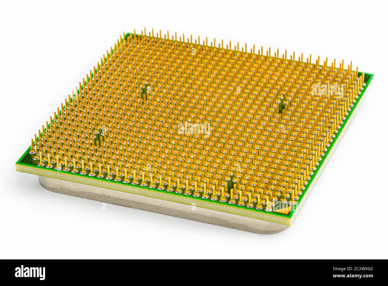 A macro shot of a computer processor, visible gold pins, isolated on ...