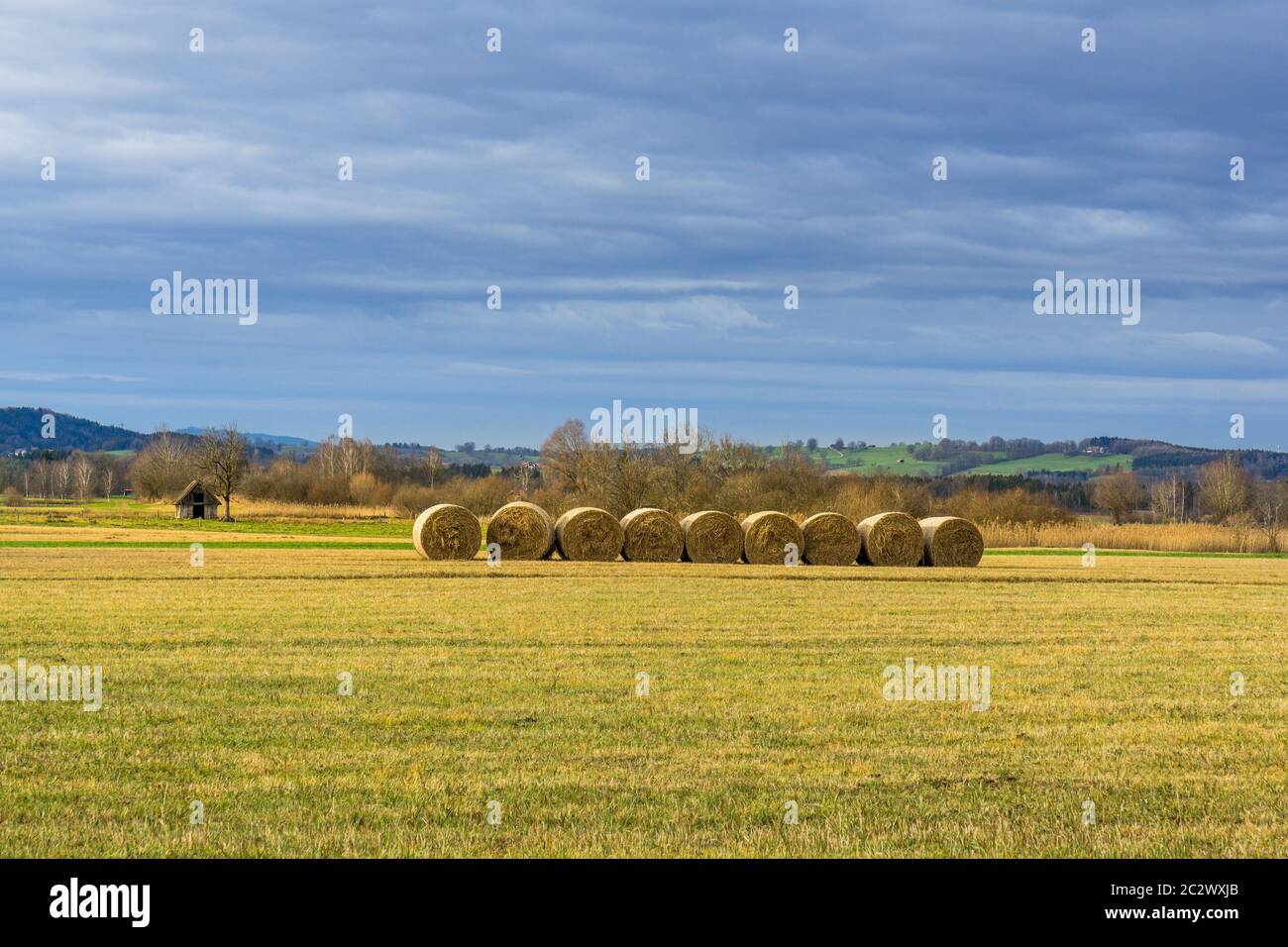 Forest straw hi-res stock photography and images - Alamy