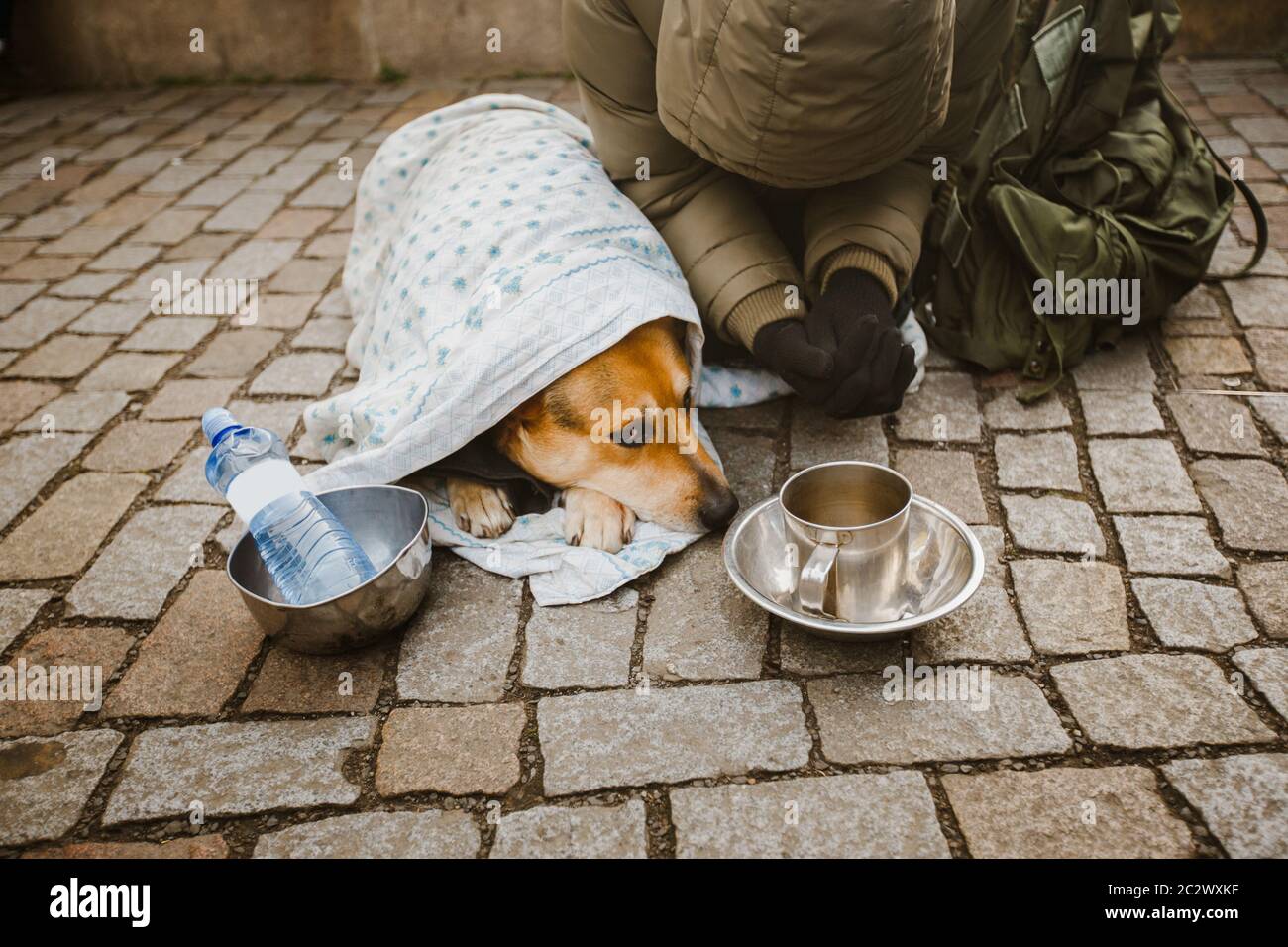 Social theme. A beggar beggar begging with a dog wrapped in a blanket ...