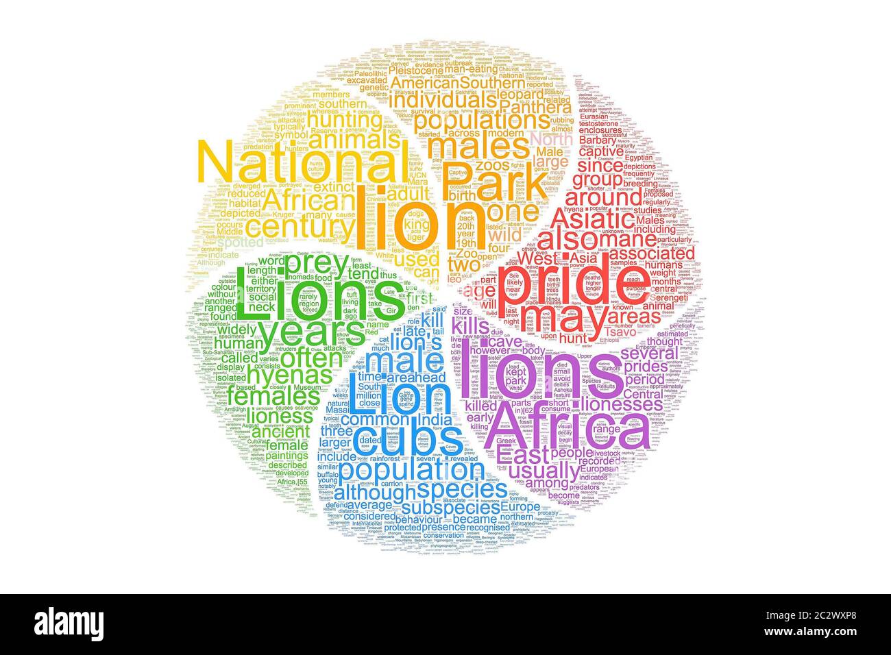 Lion colors word cloud on the isolated background Stock Photo - Alamy