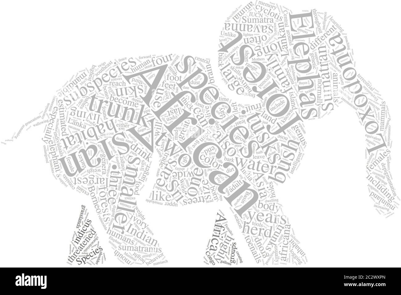 Elephant shape word cloud on the isolated background Stock Photo - Alamy