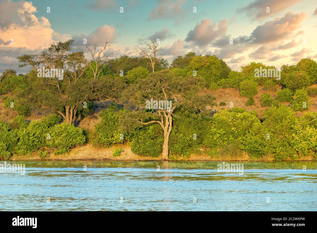 Botswana landscape panorama hi-res stock photography and images - Alamy
