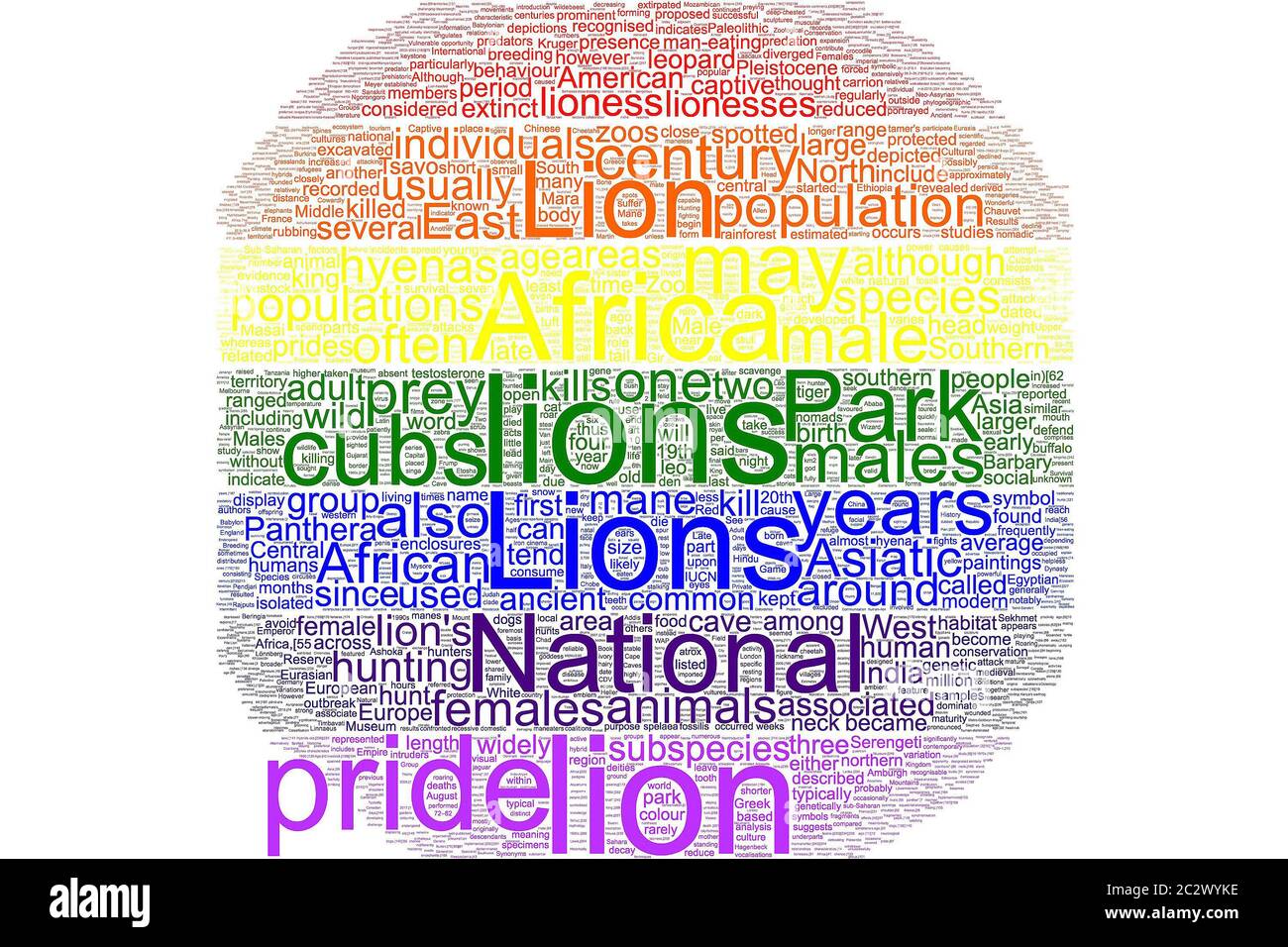 Lion word hi-res stock photography and images - Alamy
