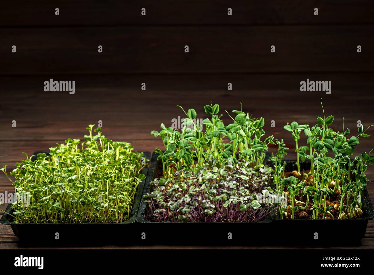 Mixed Microgreens in box on wooden table background Stock Photo - Alamy