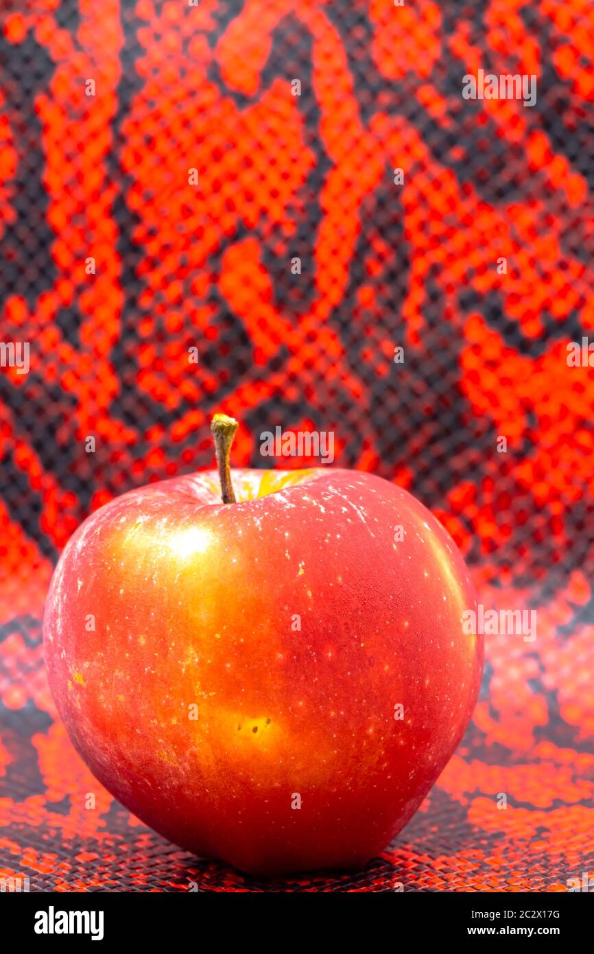 Red apple on snake skin - a metaphor for original sin and temptation ...