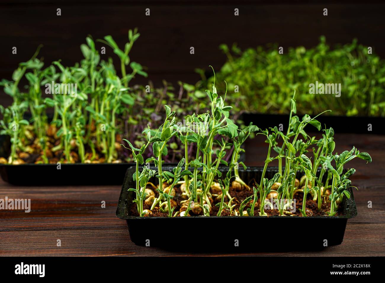 Mixed Microgreens in box on wooden table background Stock Photo - Alamy