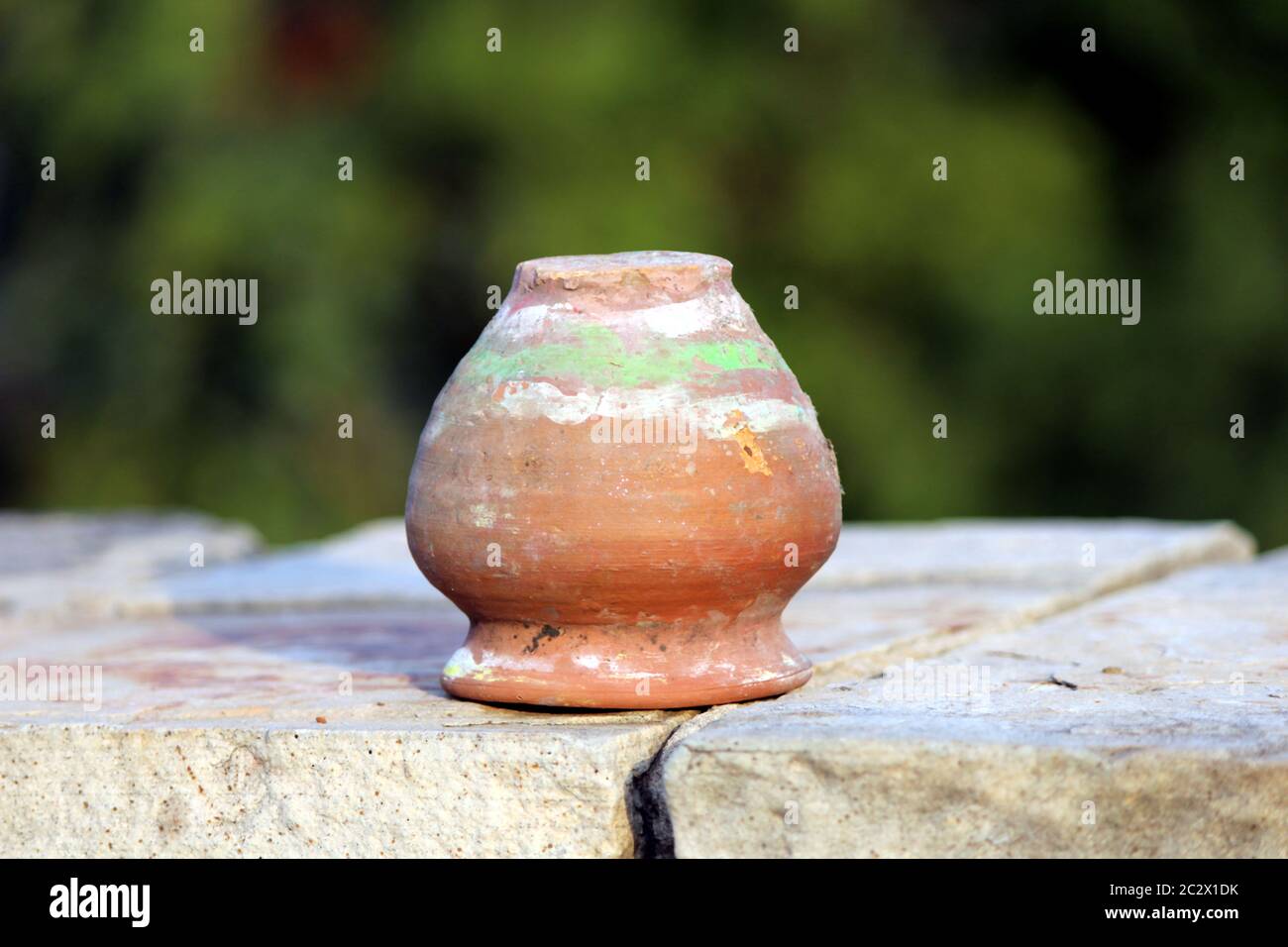 Corals Painting Pot Designs