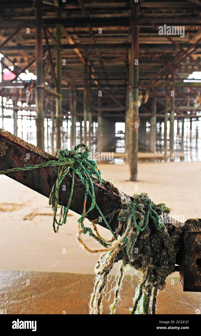 Tangled up hi-res stock photography and images - Alamy