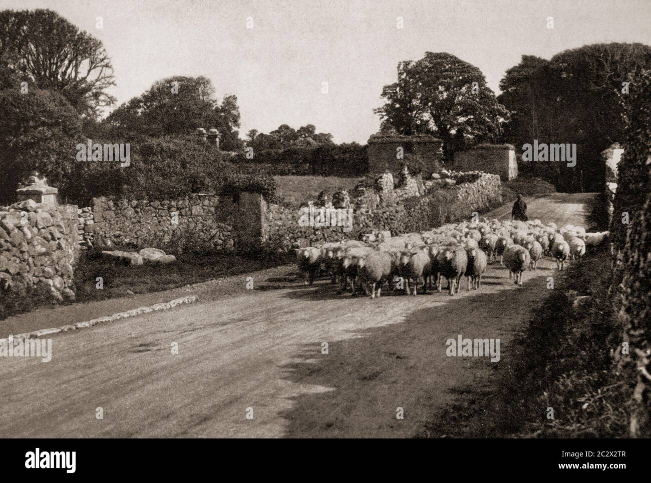 Farmer 1920s hi-res stock photography and images - Alamy