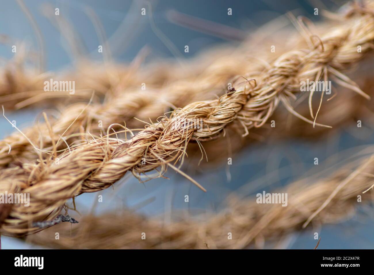 Coir industry hi-res stock photography and images - Alamy