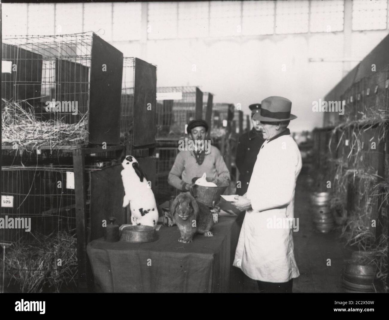 Small animal exhibition Heinrich Hoffmann Photographs 1933 Adolf Hitler ...