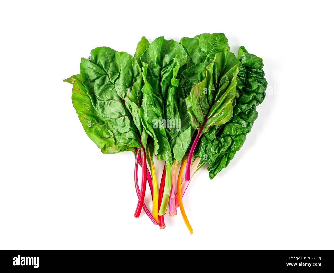 Bunch of swiss chard leafves isolated on white background. Fresh swiss ...