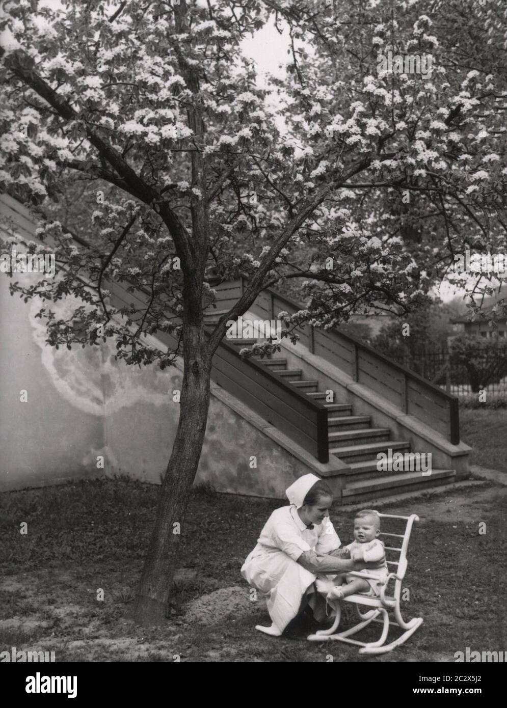 German Red Kreaz - reportage Heinrich Hoffmann Photographs 1933 Adolf ...