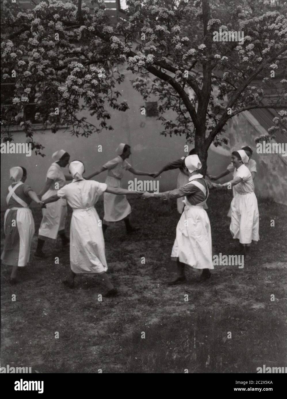 German Red Kreaz - reportage Heinrich Hoffmann Photographs 1933 Adolf ...